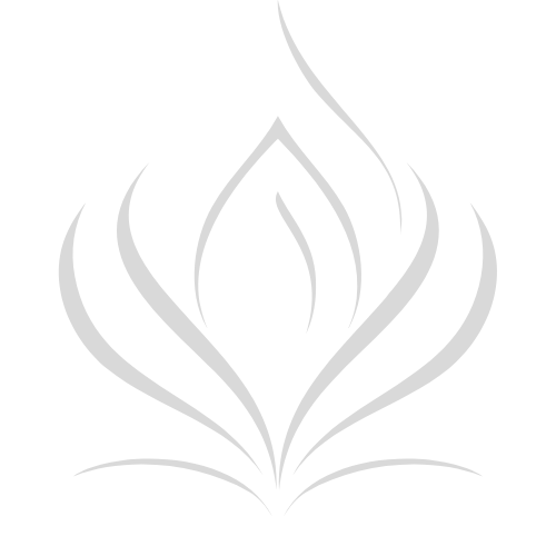 Phellinus Linteus - Capsules :: Nordic Mushroom