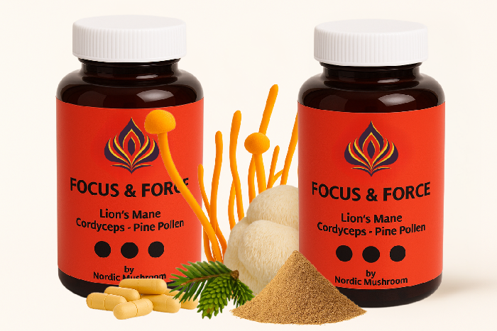 2 x Focus & Force :: Nordic Mushroom